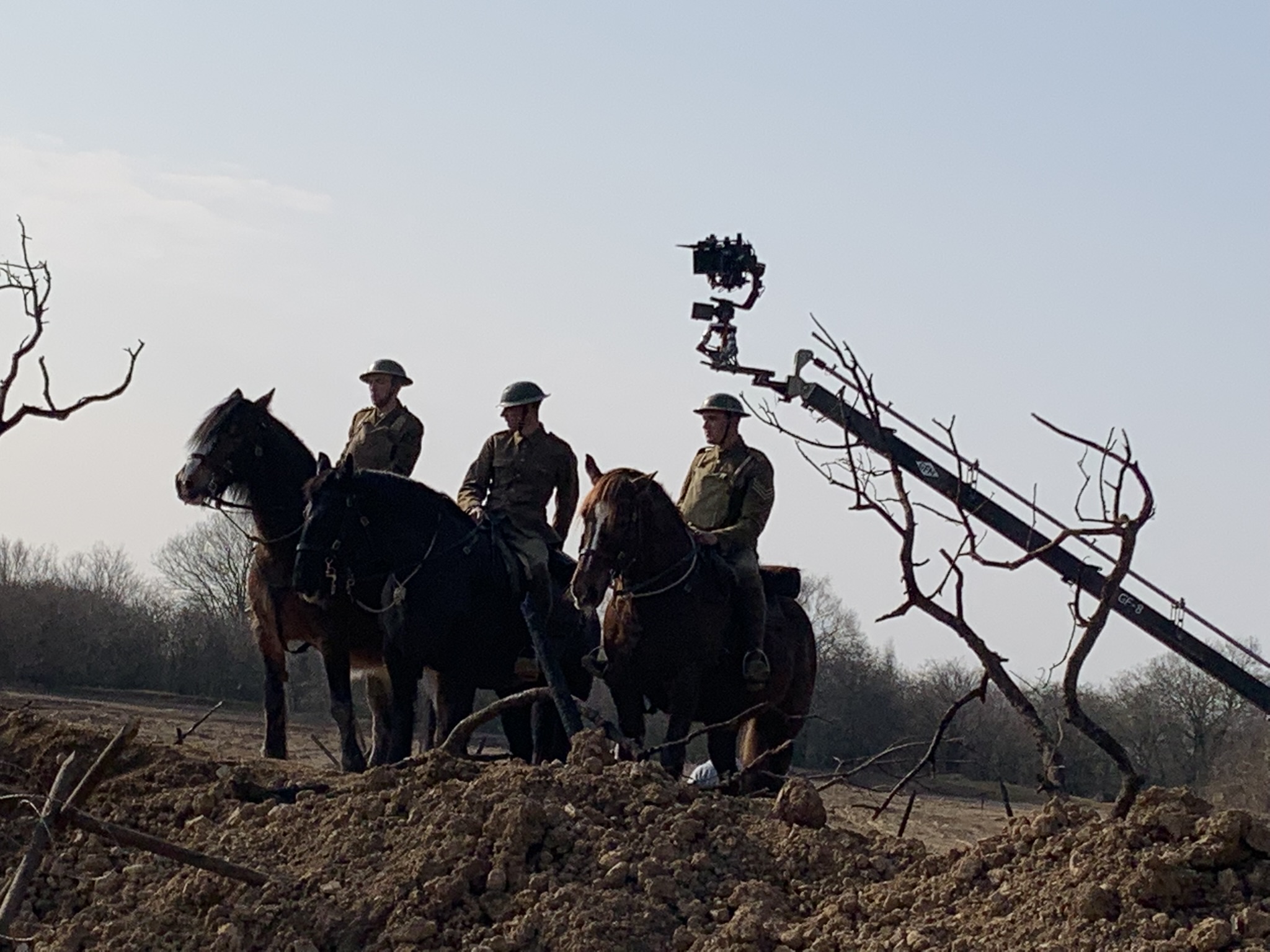 Animal Welfare in Entertainment – The Animal Welfare Consultancy